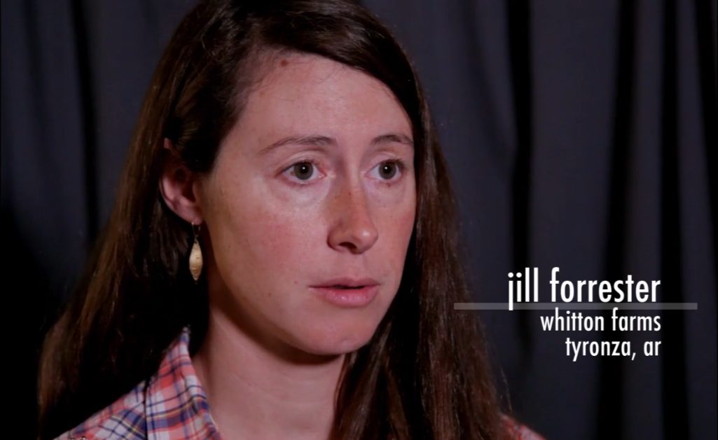Jill Forrester: Delta Tomatoes | Southern Foodways Alliance - Southern ...